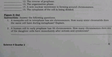 12 The reverse of prophase 13 The | StudyX