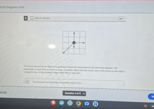 Body Diagrams Quiz 4 Mark for Review The | StudyX