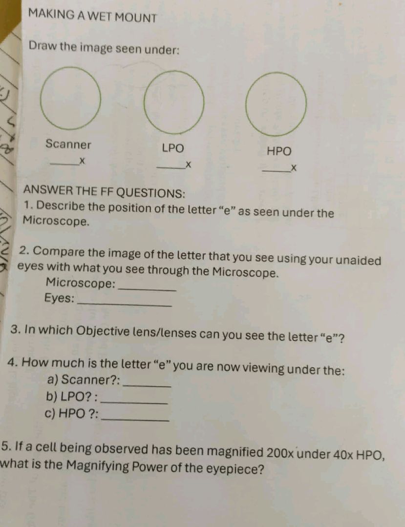MAKING A WET MOUNT Draw the image seen under | StudyX