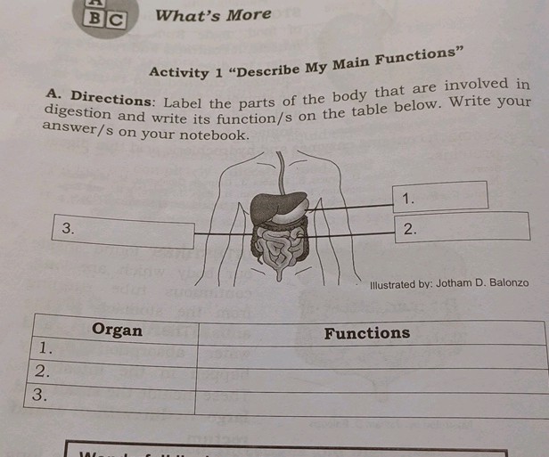 B C Whats More Activity 1 Describe My Main | StudyX