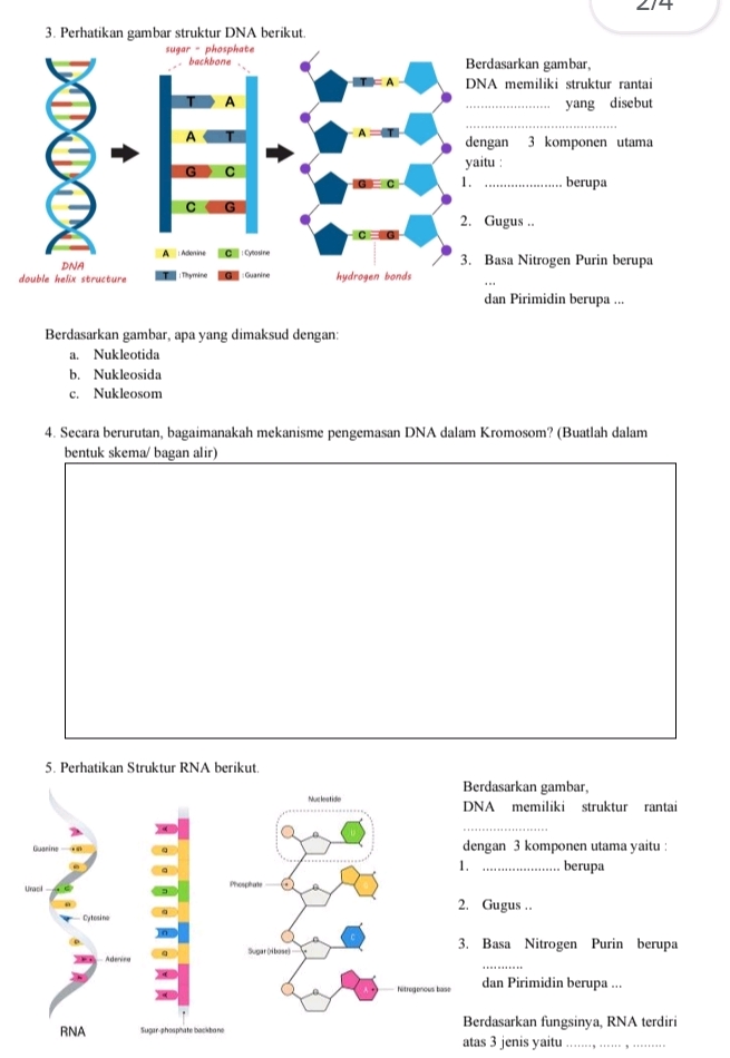 3 Perhatikan gambar struktur DNA berikut | StudyX