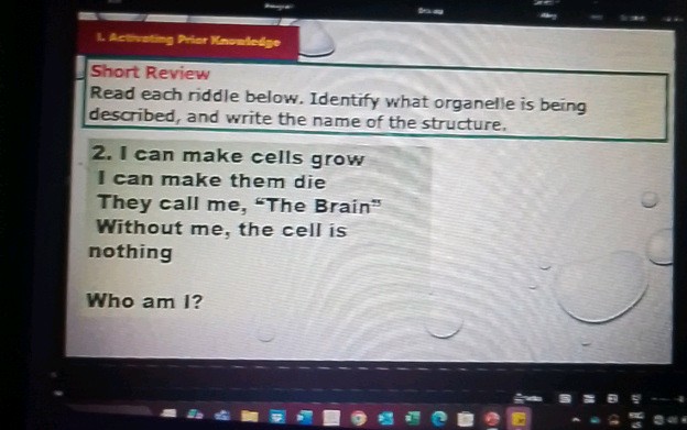 Short Review Read each riddle below Identify | StudyX