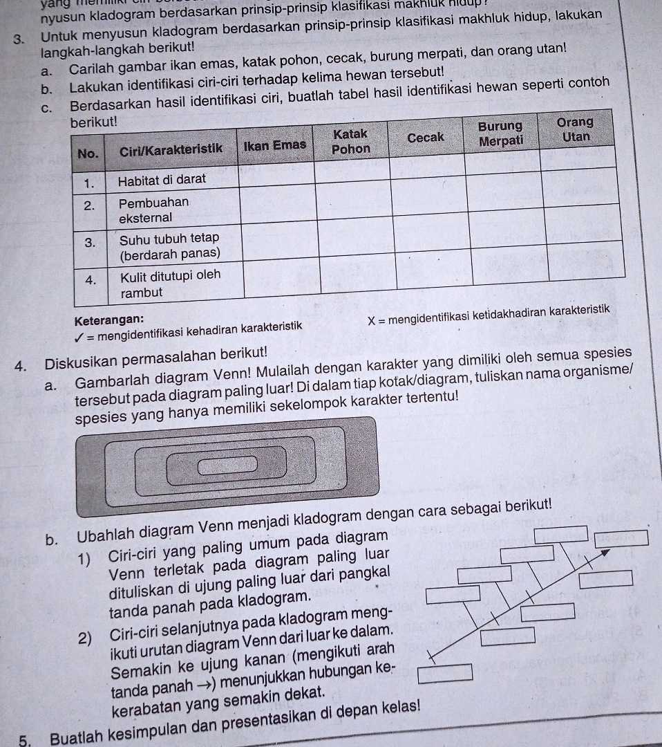 3 Untuk menyusun kladogram berdasarkan | StudyX
