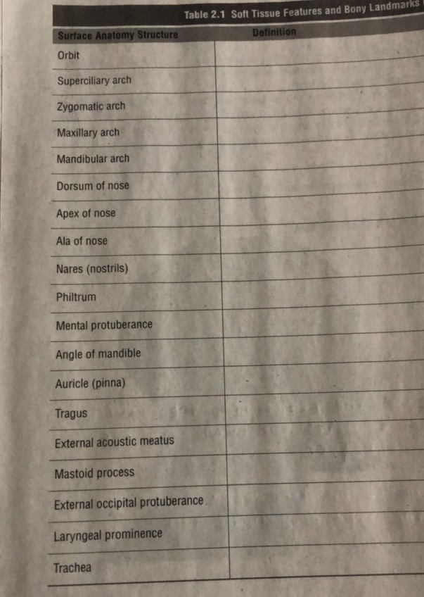 Table 21 Soft Tissue Features and Bony