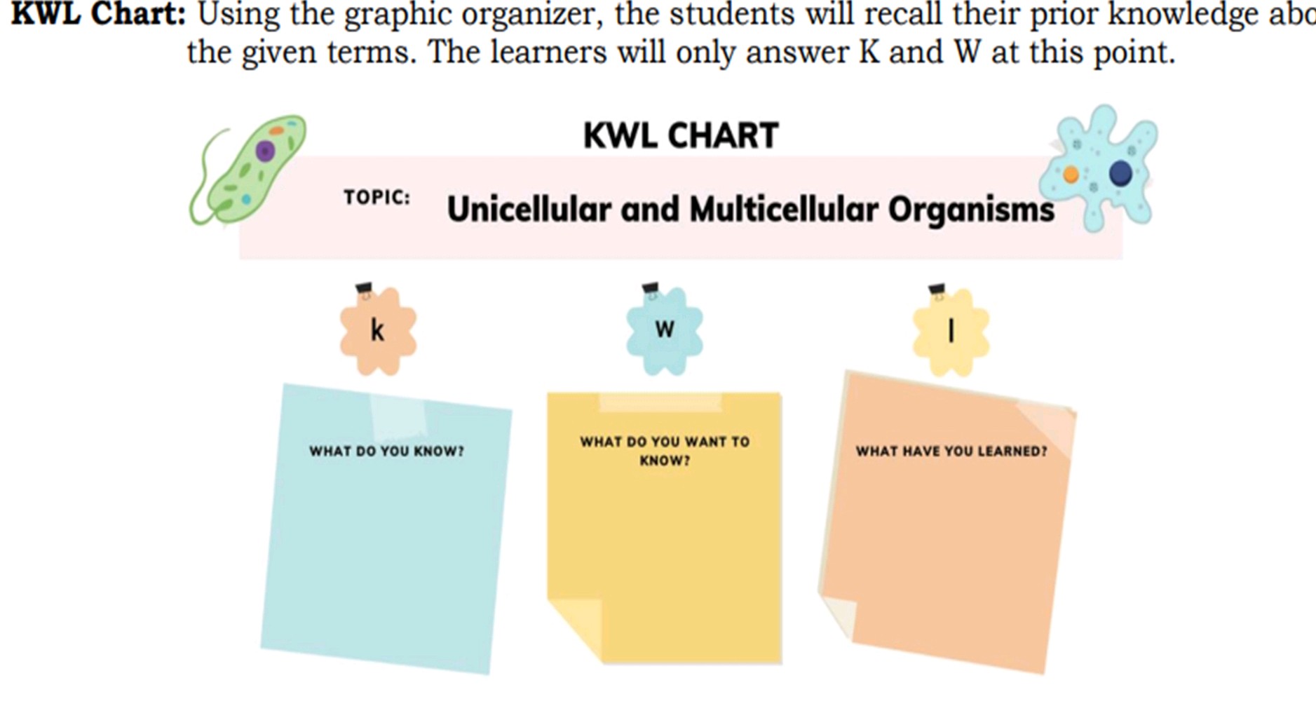 KWL Chart Using the graphic organizer the | StudyX