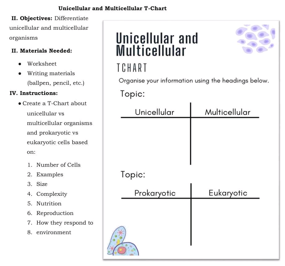 Unicellular and Multicellular T-Chart II | StudyX