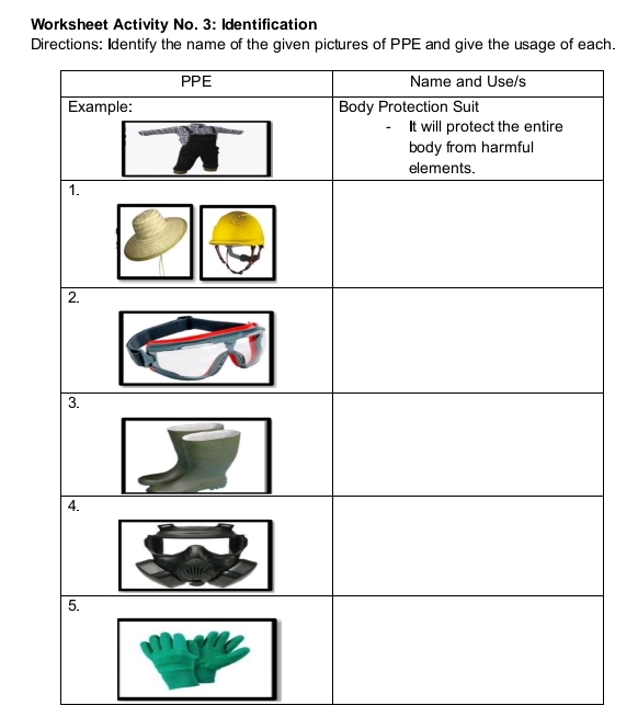 Worksheet Activity No 3 Identification | StudyX