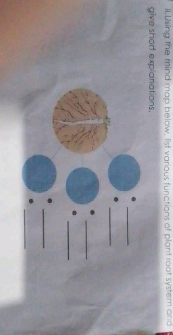 II Using the mind map below list various | StudyX