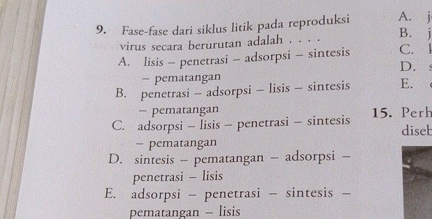 9 Fase-fase dari siklus litik pada | StudyX