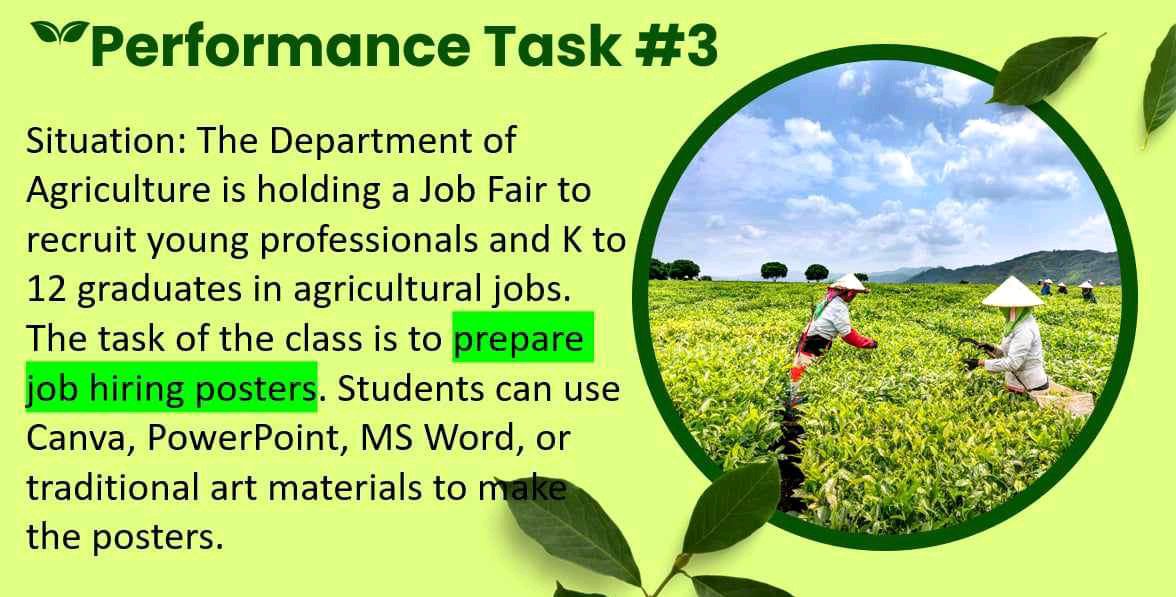 1 Performance Task 3 Situation The | StudyX
