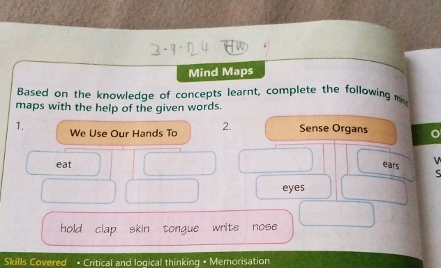 Mind Maps Based on the knowledge of concepts | StudyX