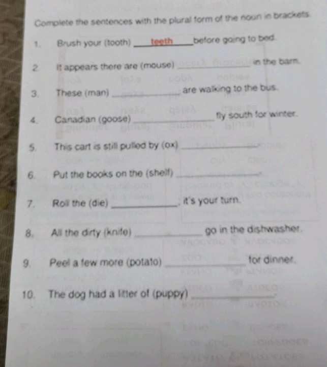 Complete the sentences with the plural form | StudyX