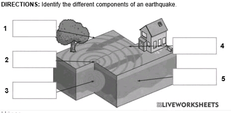 DIRECTIONS Identify the different components | StudyX