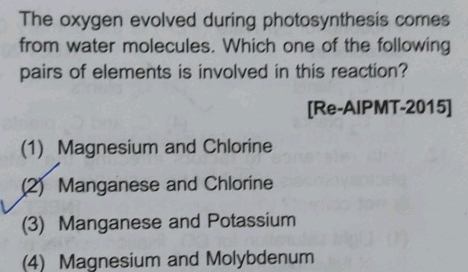 The oxygen evolved during photosynthesis | StudyX