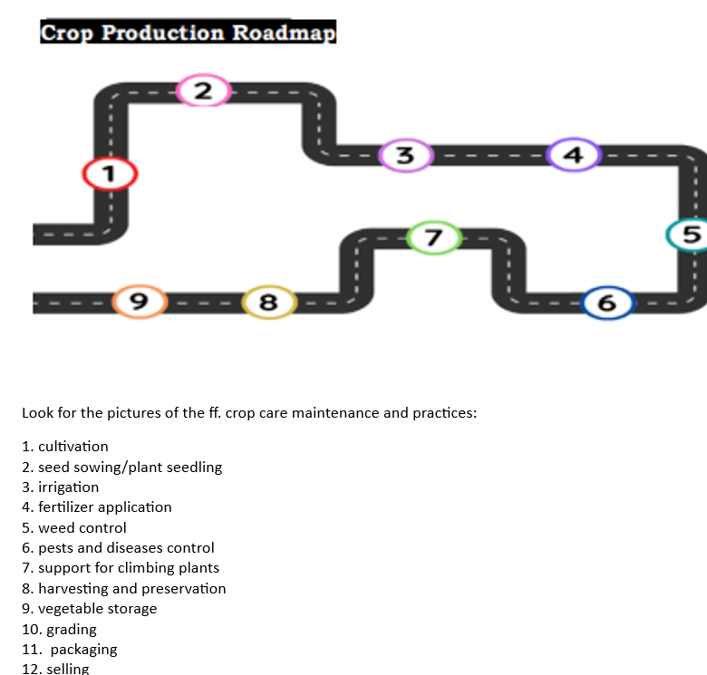 Crop Production Roadmap Look for the | StudyX