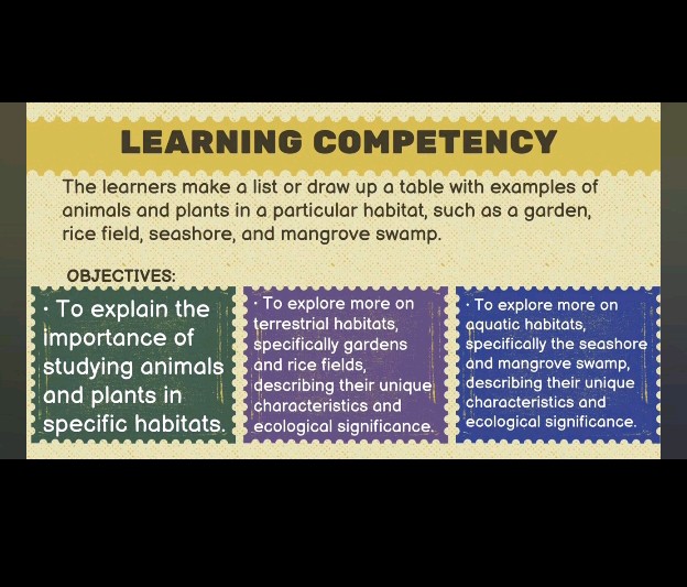 LEARNING COMPETENCY The learners make a list | StudyX