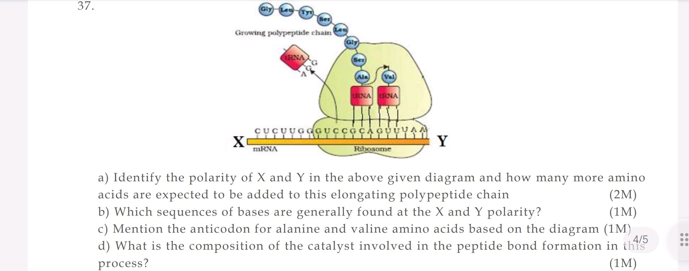 37 a) Identify the polarity of X and Y in | StudyX