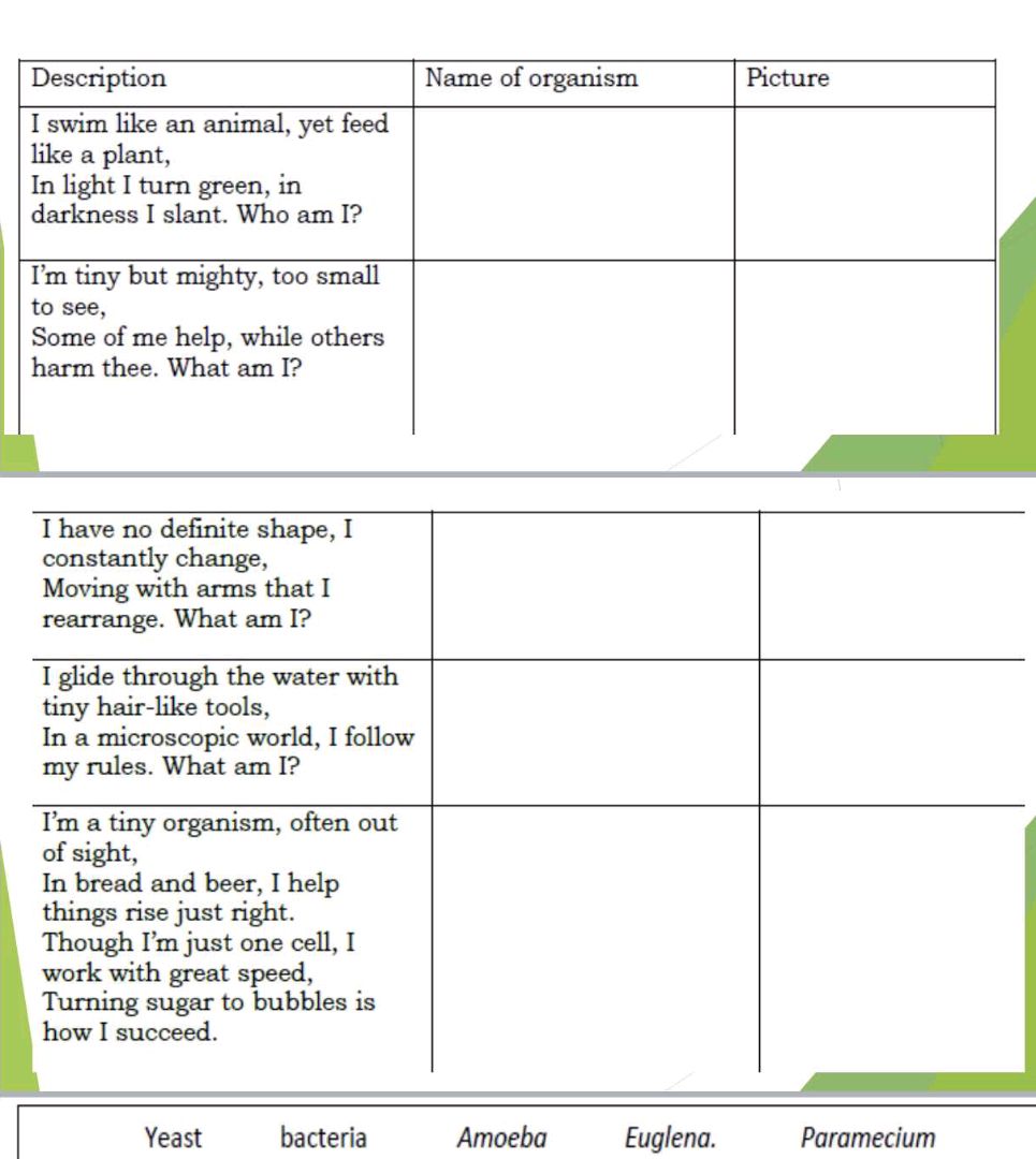 Description Name of organism Picture I swim | StudyX