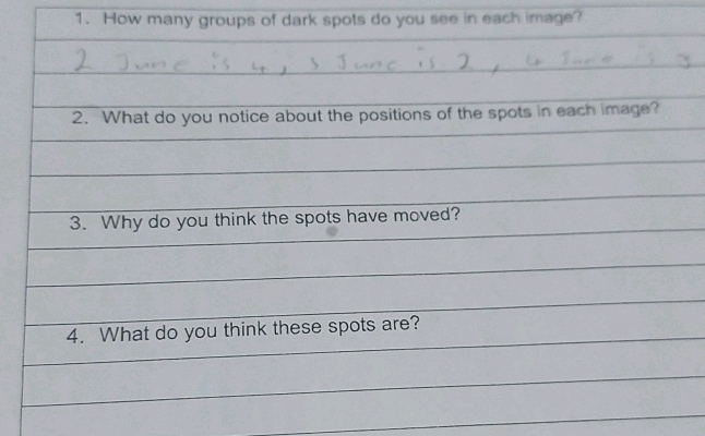 1 How many groups of dark spots do you see | StudyX