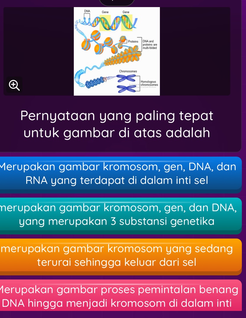 Pernyataan yang paling tepat untuk gambar | StudyX