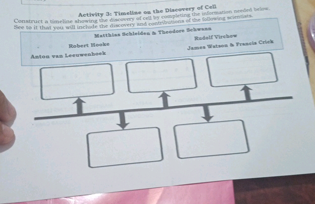 Activity 3 Timeline on the Discovery of Cell | StudyX