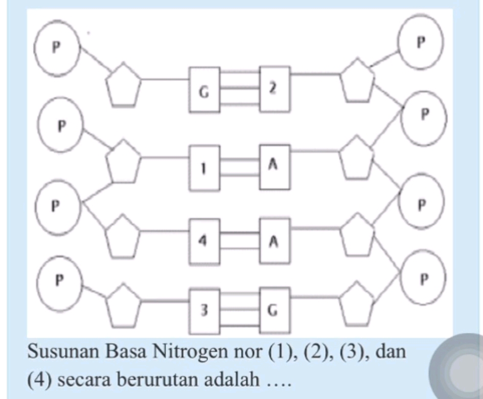 Susunan Basa Nitrogen nor (1) (2) (3) dan | StudyX