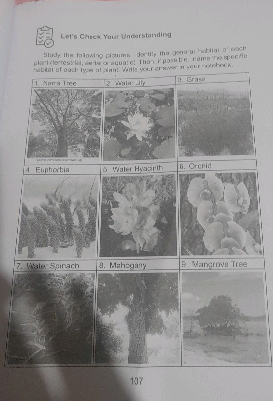 Lets Check Your Understanding Study the | StudyX