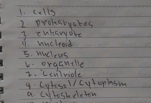 1 cells 2 proteakyotes 3 entaryote 4 nucleid
