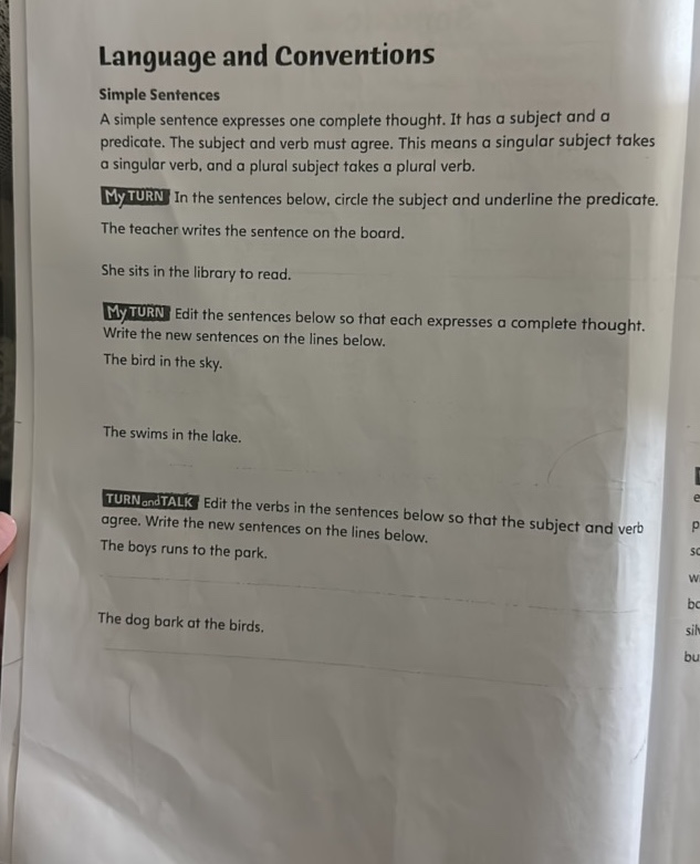 Language and Conventions Simple Sentences A | StudyX