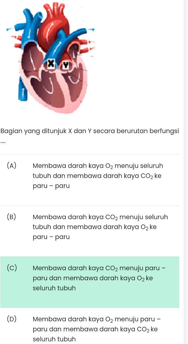 Bagian yang ditunjuk X dan Y secara | StudyX