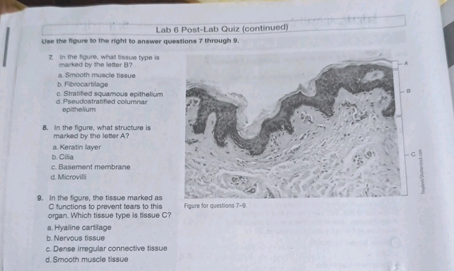 Lab 6 Post-Lab Quiz (continued) Use the | StudyX