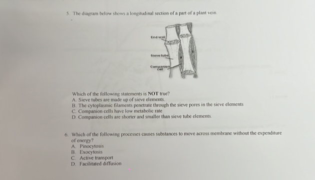 5 The diagram below shows a longitudinal section of a part of a plant ...