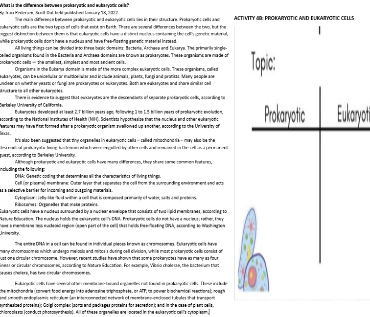 What is the difference between prokaryotic | StudyX