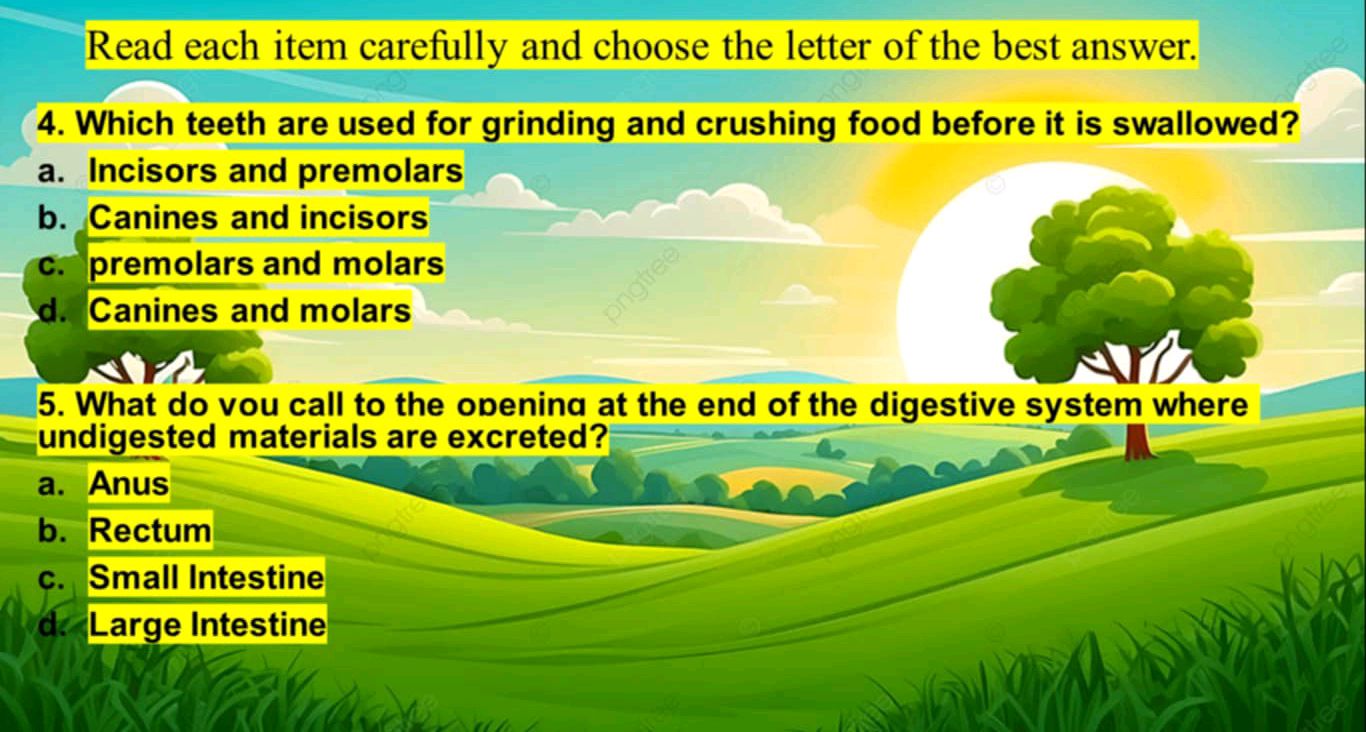 Read each item carefully and choose the | StudyX