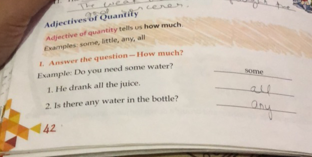 Adjectives of Quantity Adjective of | StudyX