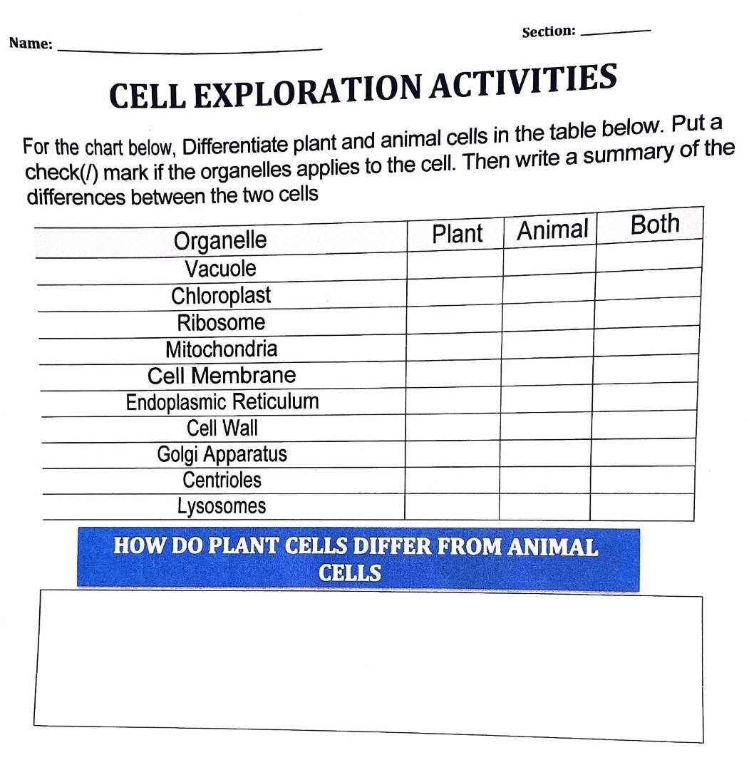 Name Section CELL EXPLORATION ACTIVITIES | StudyX