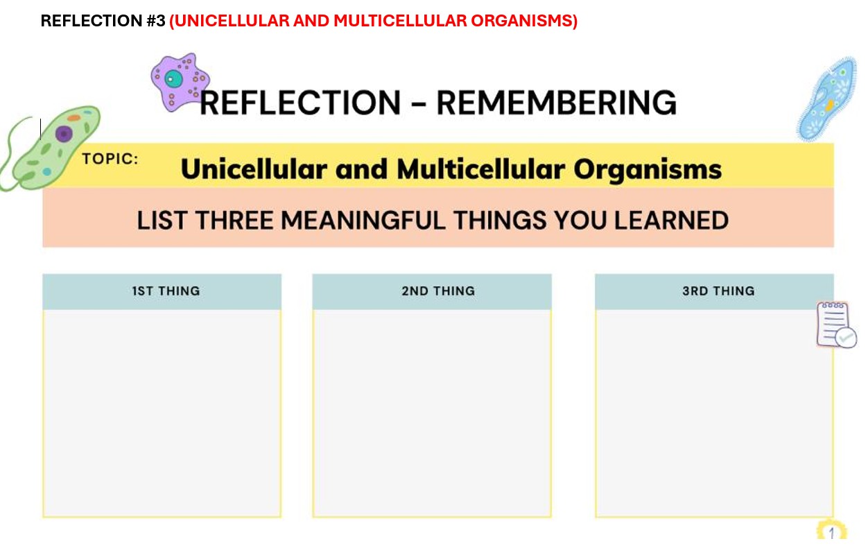 REFLECTION 3 (UNICELLULAR AND MULTICELLULAR | StudyX