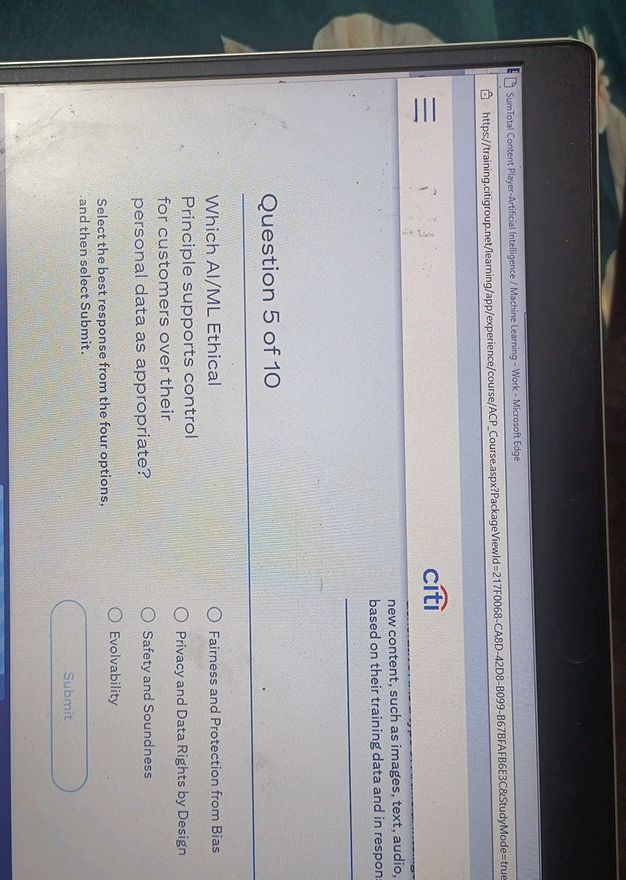 SumTotal Content Player-Artificial | StudyX