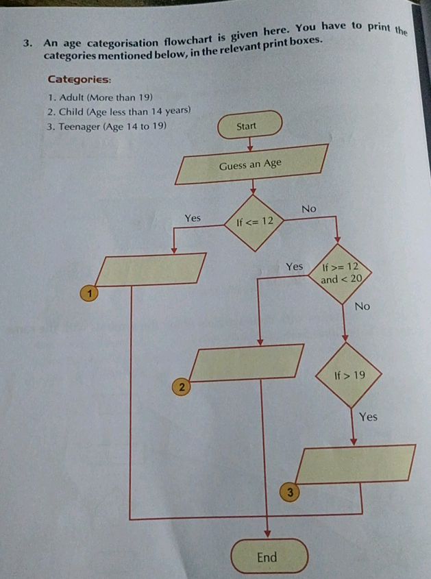 3 An age categorisation flowchart is given | StudyX