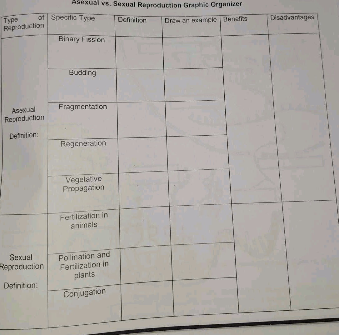 Asexual vs Sexual Reproduction Graphic | StudyX