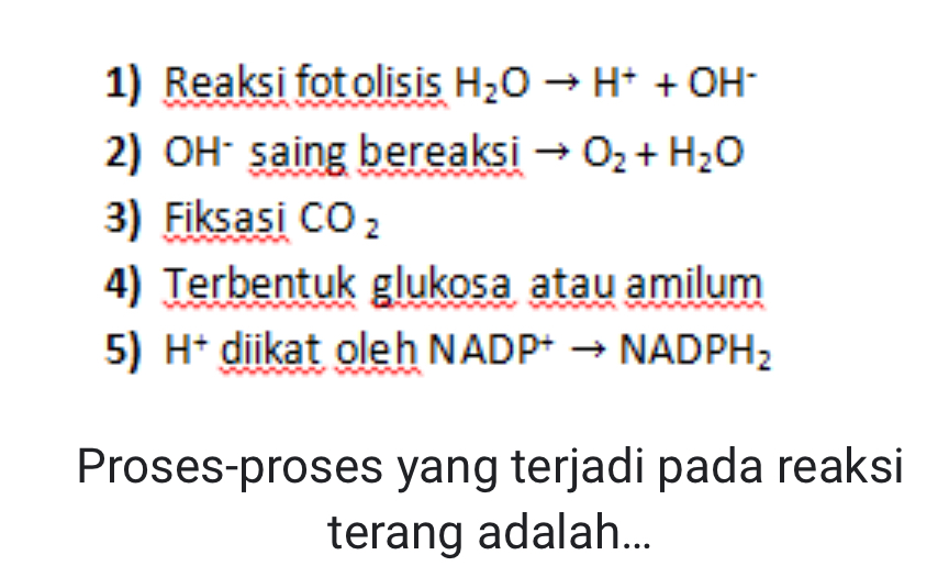 1) Reaksi fotolisis H2 O H++ OH- 2) | StudyX