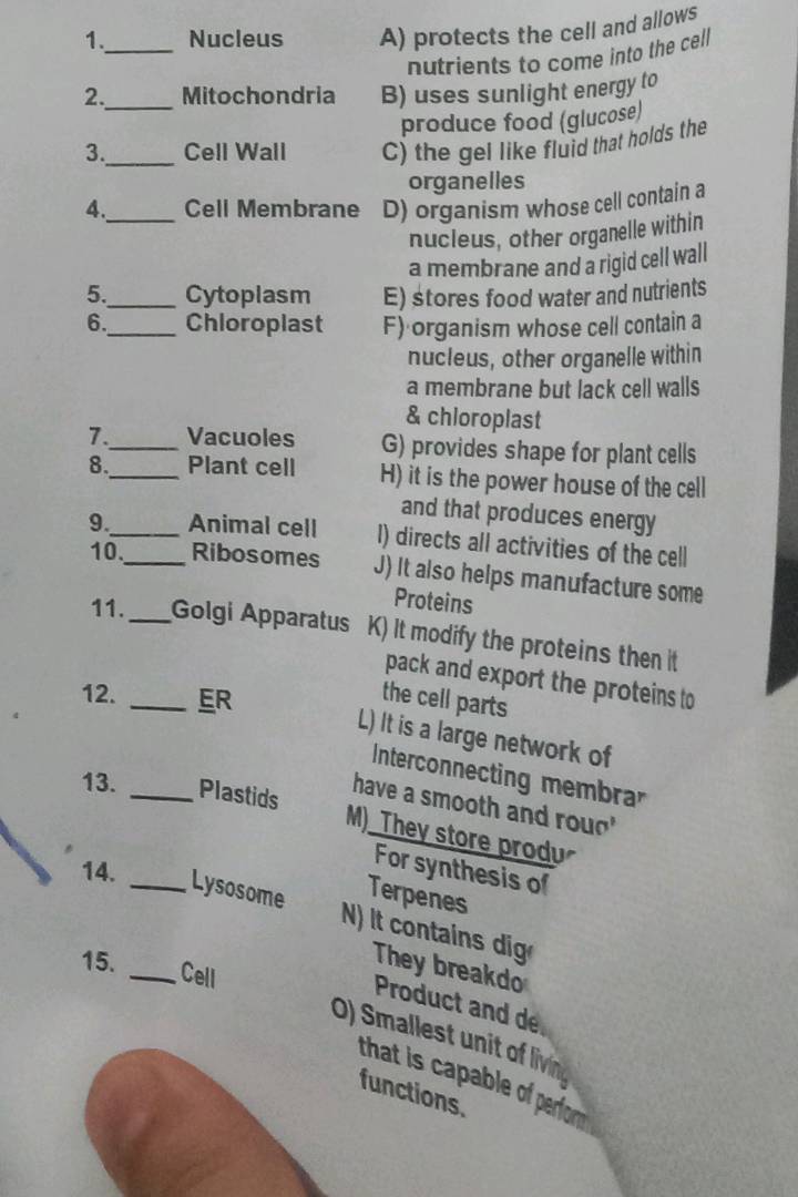 1 Nucleus 2 Mitochondria 3 Cell Wall 4 | StudyX