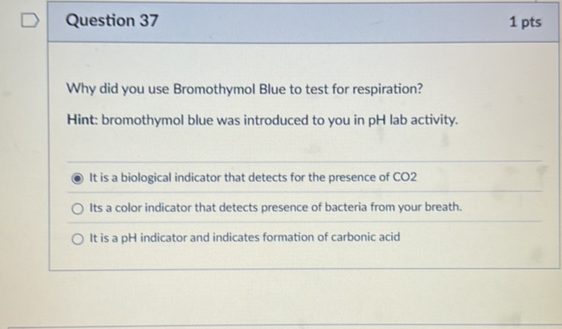 Question 37 1 pts Why did you use | StudyX