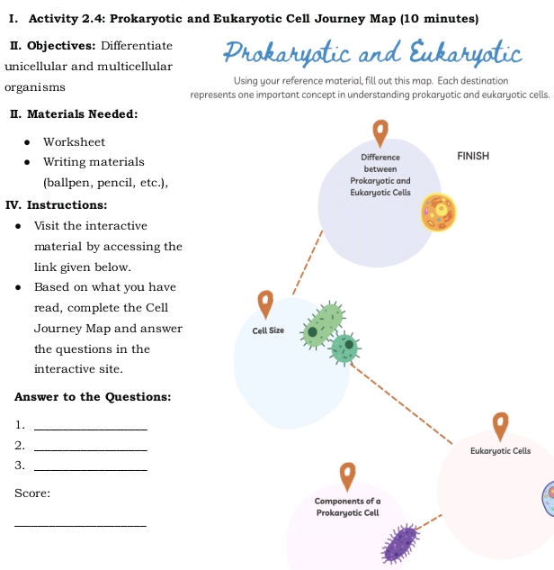 I Activity 24 Prokaryotic and Eukaryotic | StudyX