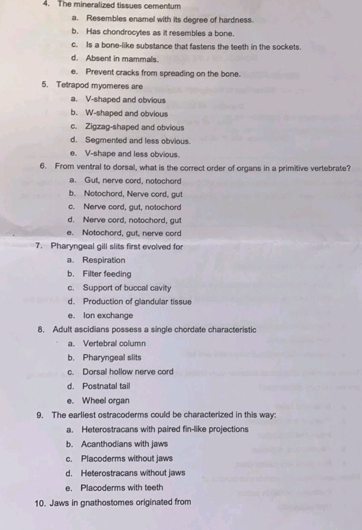 4 The mineralized tissues cementum a | StudyX
