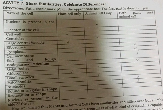 ACVITY 7 Share Similarities Celebrate | StudyX