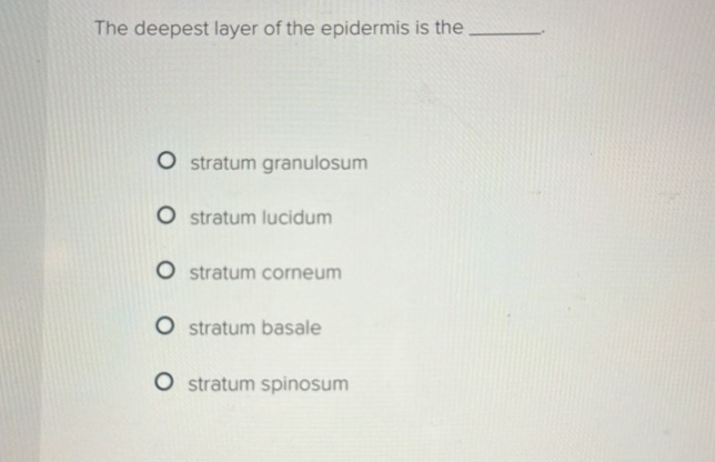 The deepest layer of the epidermis is the | StudyX