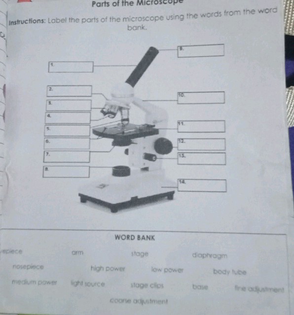 Parts of the Microscope Instructions Label | StudyX