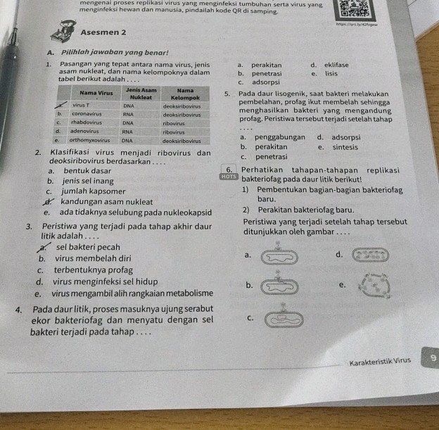 mengenal proses replikasi virus yang | StudyX