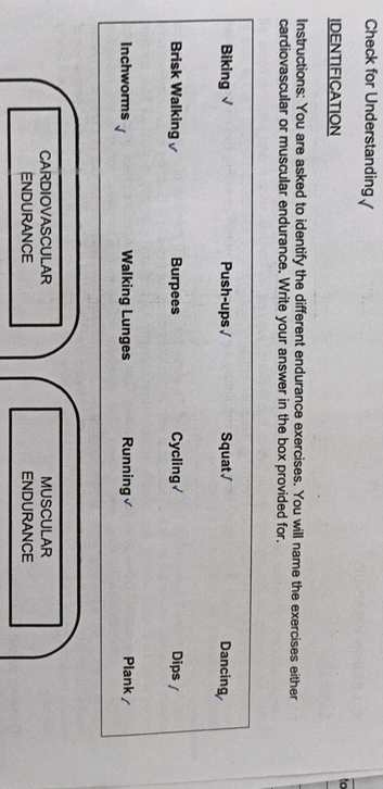 Check for Understanding IDENTIFICATION | StudyX